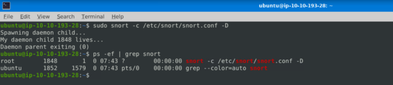 How to Use the Snort IDS/IPS Complete Practical Guide