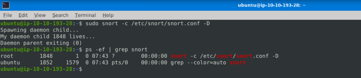 How to Use the Snort IDS/IPS Complete Practical Guide