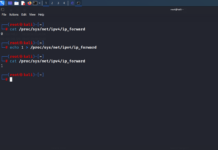 How to Use Ettercap to Intercept and Sniff Passwords