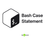 Mastering the Bash Case Statement with Simple Examples - Kali Linux Tutorials