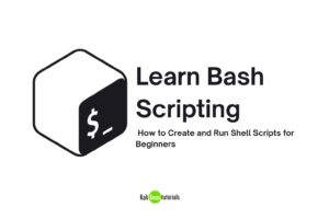 Learn Bash Scripting: How to Create and Run Shell Scripts for Beginners - Kali Linux Tutorials