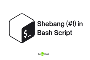 Shebang (#!) in Bash Script - Kali Linux Tutorials