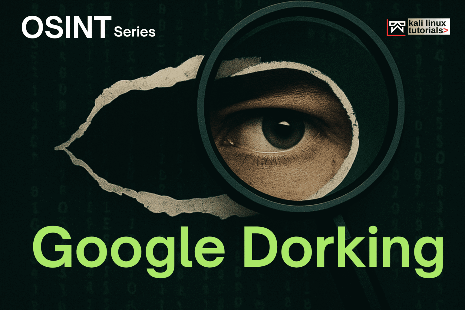 Google Dorking in Cybersecurity: A Complete Guide - Kali Linux Tutorials