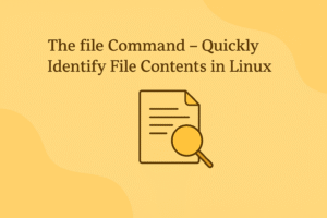 The file Command – Quickly Identify File Contents in Linux - Kali Linux ...